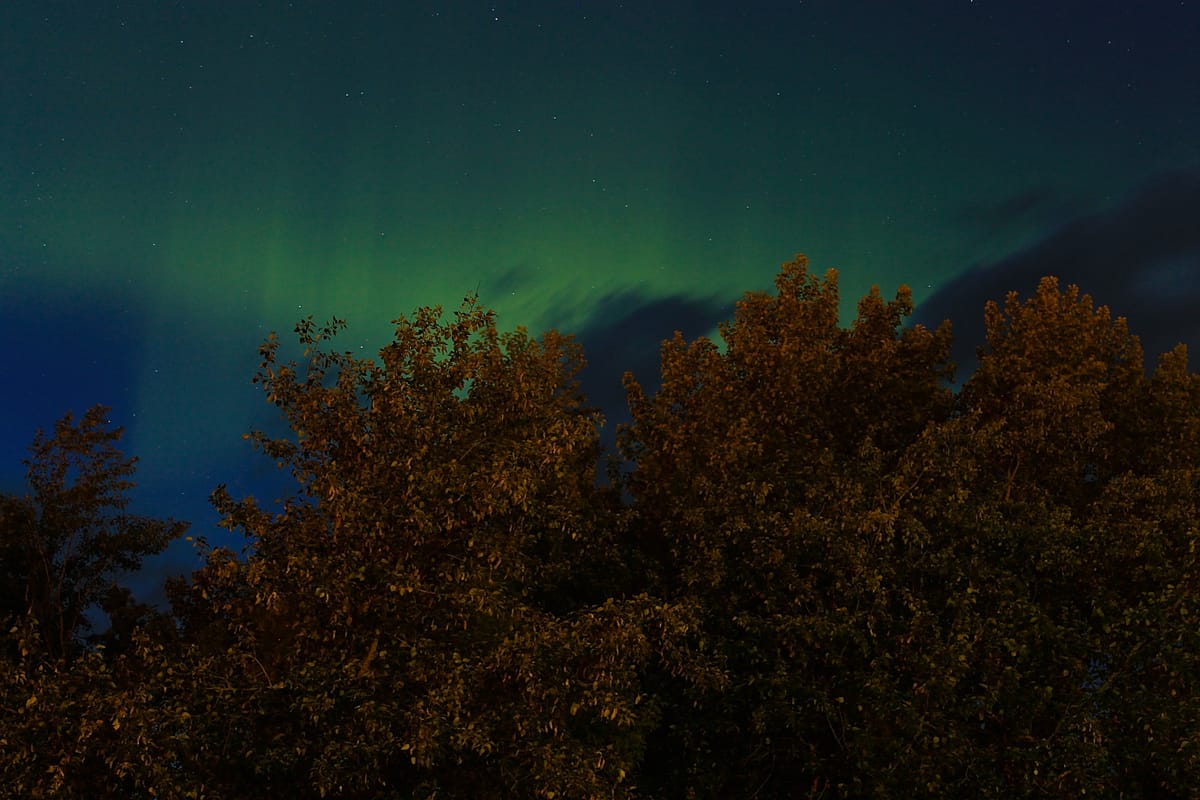 Monica Lockett - ULethbridge Stories