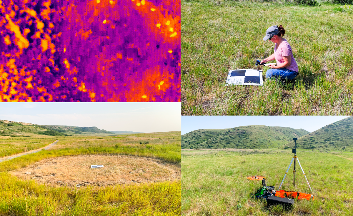 The Intersection of Remote Sensing and Archaeology: Discovering Our ...