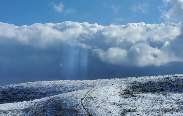 Faculty Friday | Dr. Inge Genee, linguist